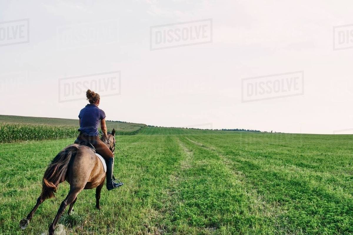 Rear view of woman galloping on bay horse in field - Royalty-free Stock ...