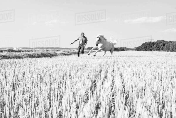 B&W image of man training galloping horse in field - Royalty-free Stock ...