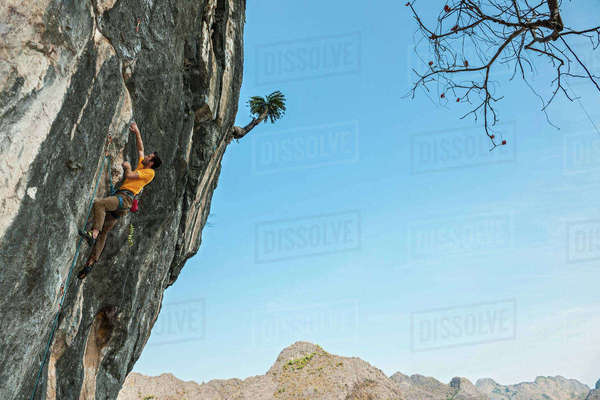 Low angle view of rock climber climbing rock face, Thakhek, Laos ...