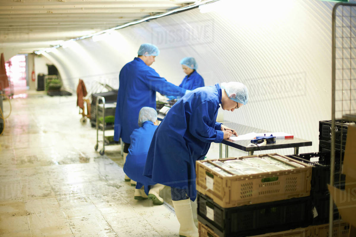 Workers wearing overalls and hair nets working on production line ...