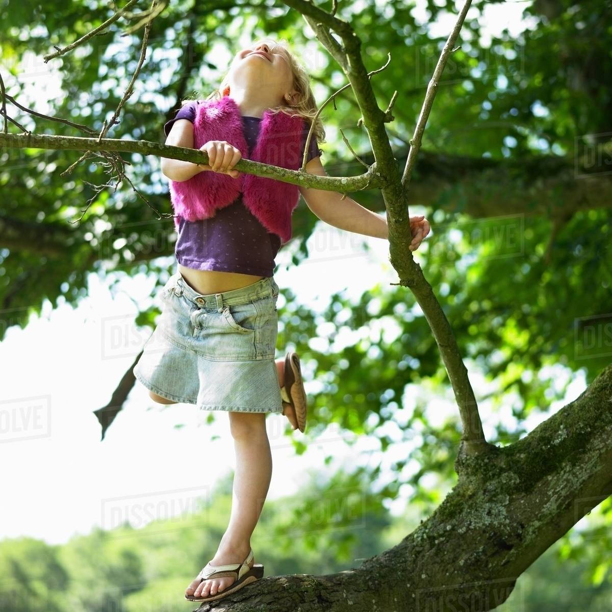 Smiling girl climbing tree - Stock Photo - Dissolve