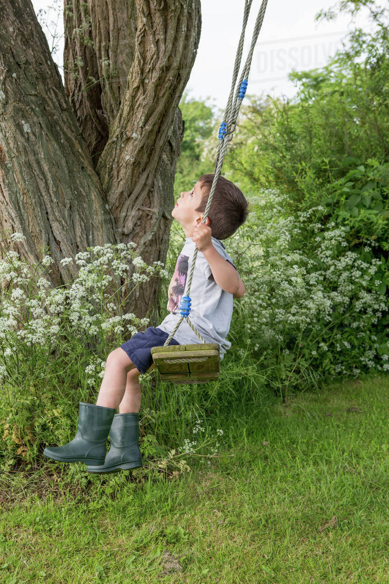 Boy on tree swing - Royalty-free Stock Photo | Dissolve