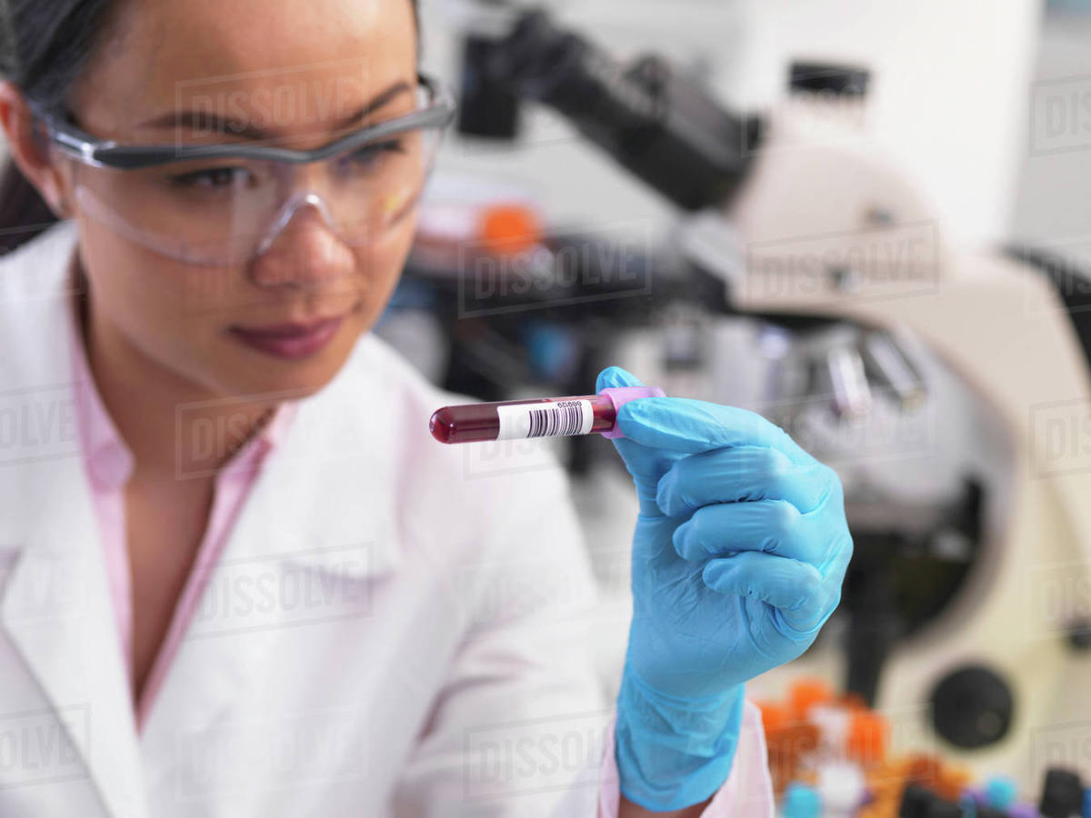 Scientist preparing clinical samples for medical testing in a ...