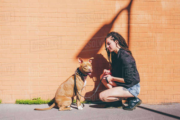 Young woman with dreadlocks crouching to pit bull terrier in front of ...