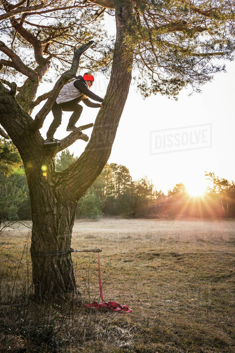 Woman climbing tree, Augsburg, Bavaria, Germany - Royalty-free Stock ...