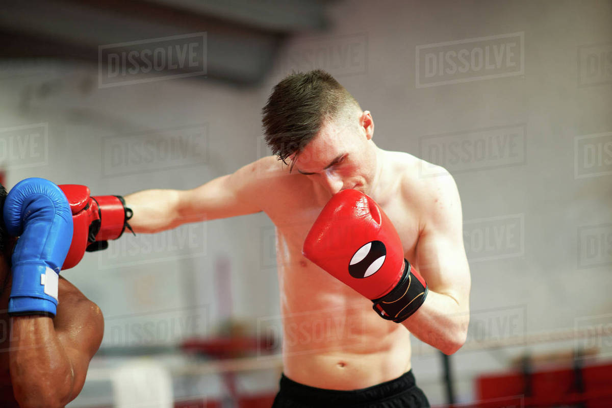 Two boxers sparring in boxing ring - Stock Photo - Dissolve