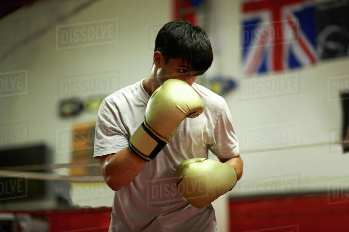 Boxer practising in boxing ring - Royalty-free Stock Photo | Dissolve
