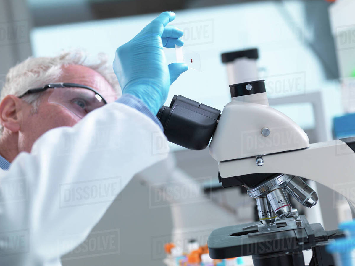 Scientist preparing a sample slide containing a human blood specimen to ...
