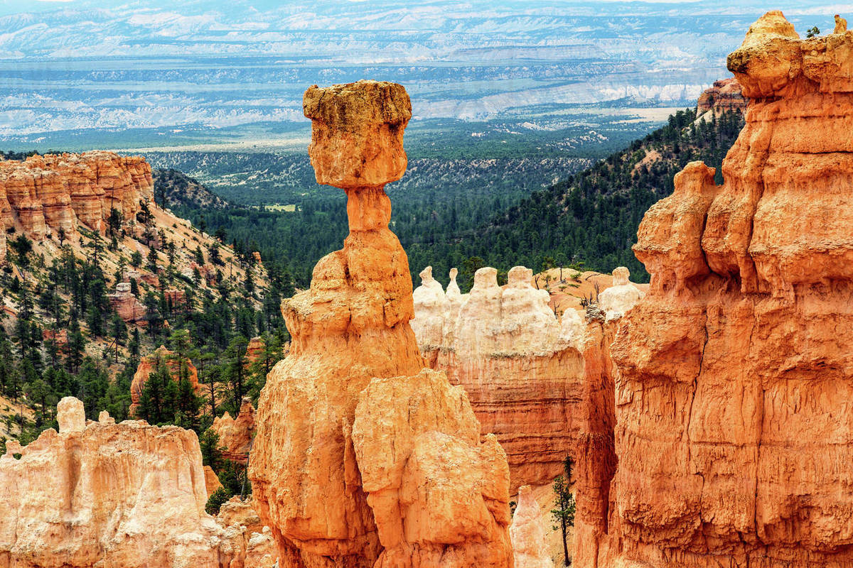Elevated view of sandstone rock formations, Bryce canyon, garfield ...