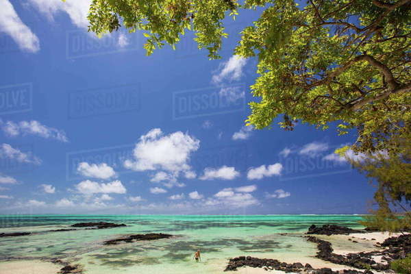 Roches Noire, Mauritius - Royalty-free Stock Photo | Dissolve