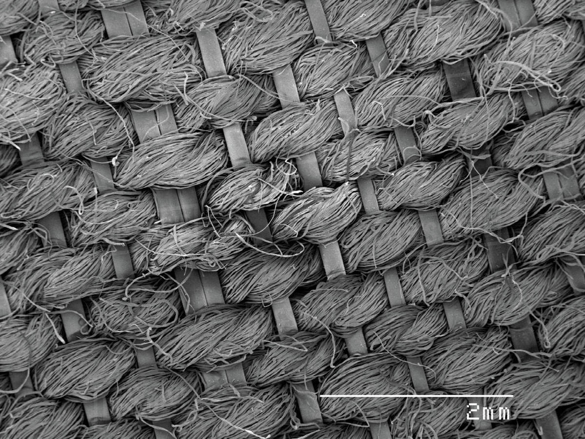 Magnified view of crinoline fabric - Stock Photo - Dissolve