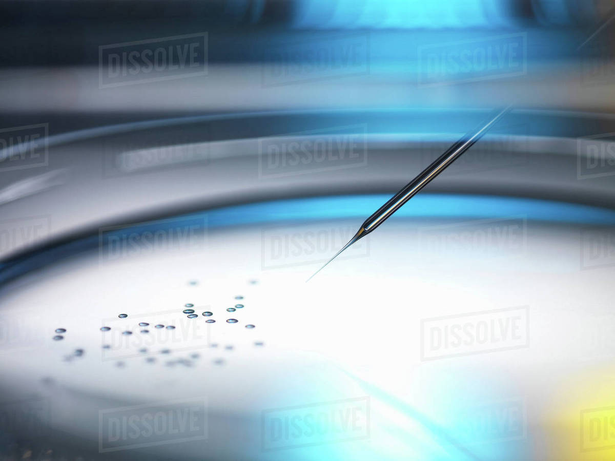 Micro pipette injecting cells in dish - Stock Photo - Dissolve