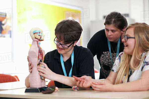 Students in biology class - Royalty-free Stock Photo | Dissolve