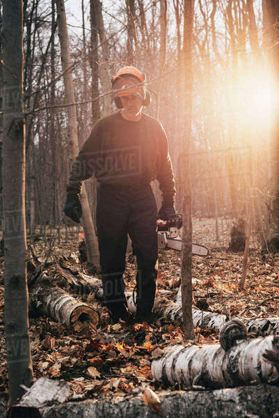 Male logger carrying chainsaw in sunlit autumn forest - Royalty-free ...