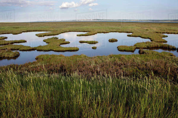 Marshland, Kent, United Kingdom, Europe - Royalty-free Stock Photo ...