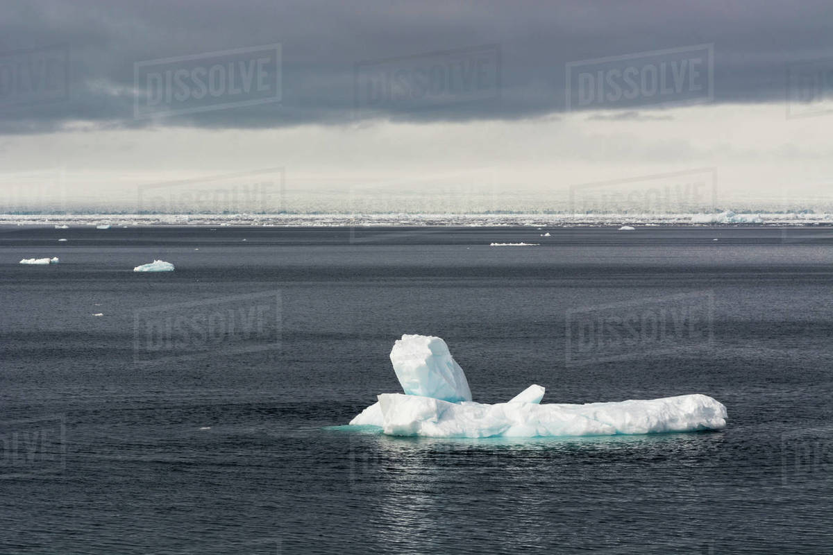 Arctic ocean ice floe seascape, Erik Eriksenstretet strait separating ...