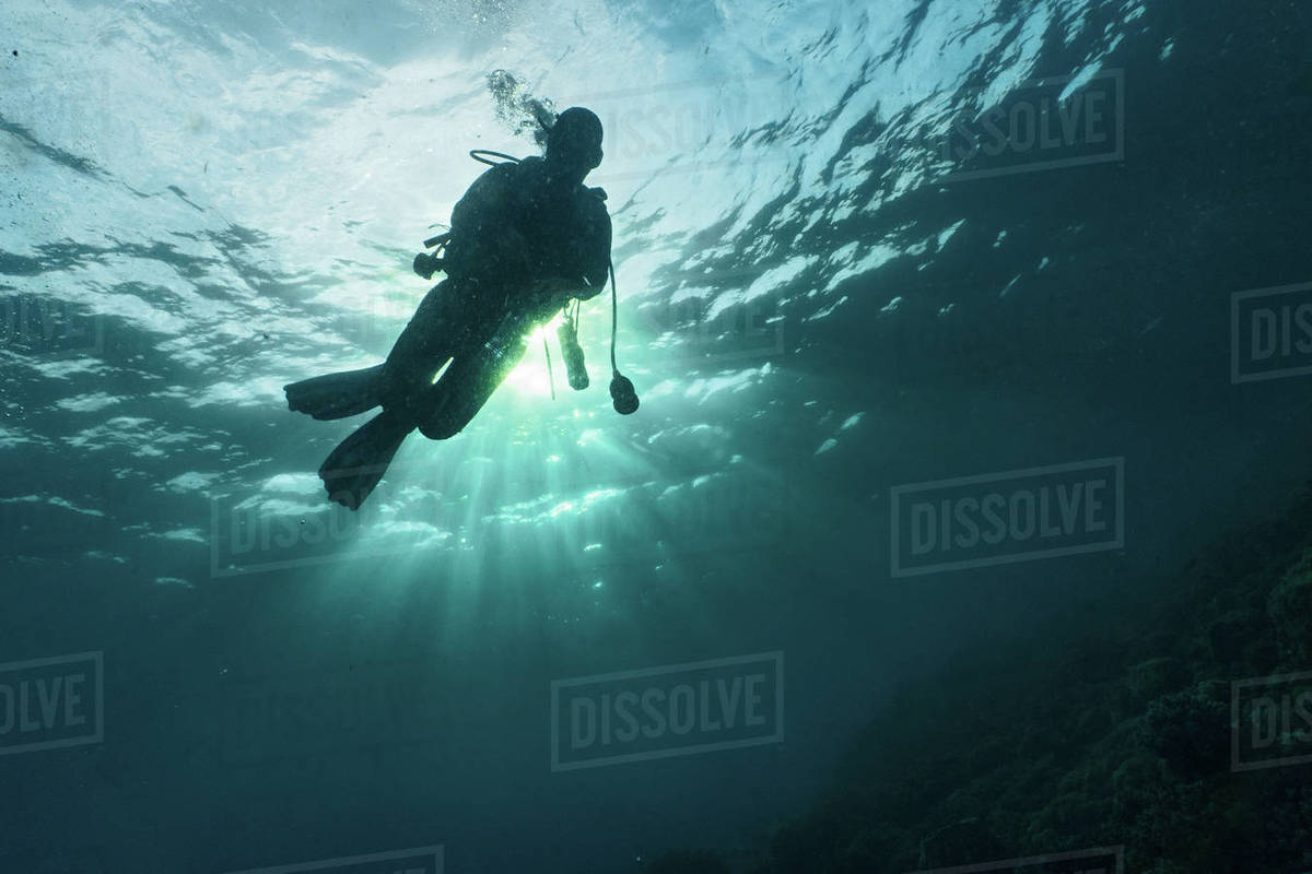 Female scuba diver descending into the ocean against the sun, Komodo ...