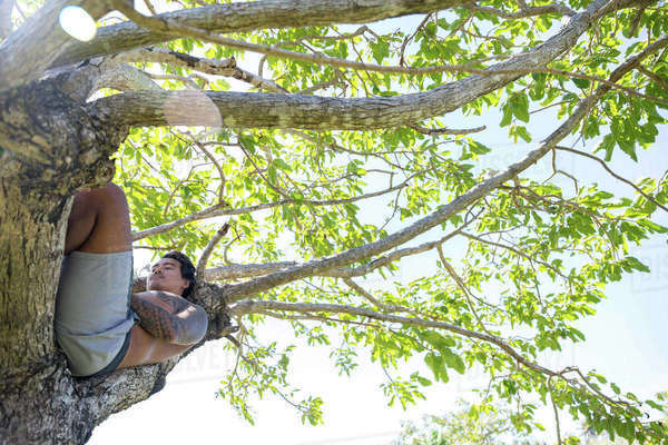 Man relaxing on tree, Pagudpud, Ilocos Norte, Philippines - Royalty ...