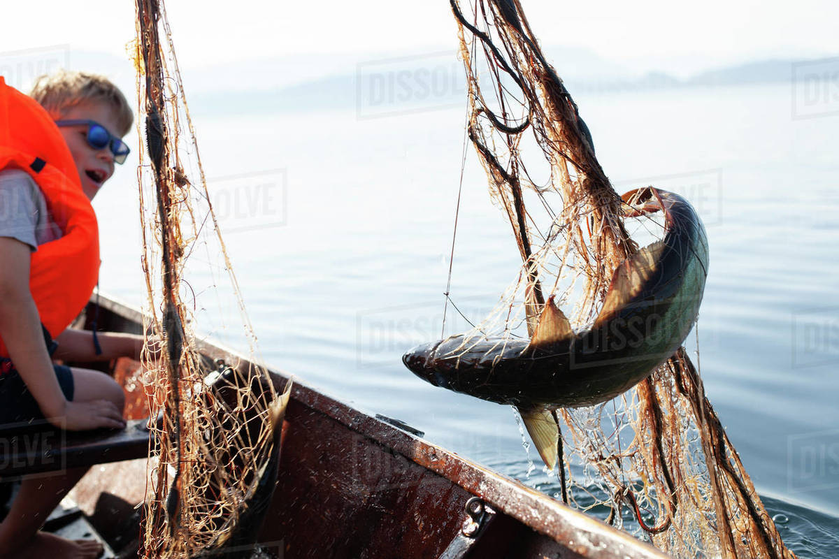 Boy smiling at fish caught in fishing net - Royalty-free Stock Photo ...