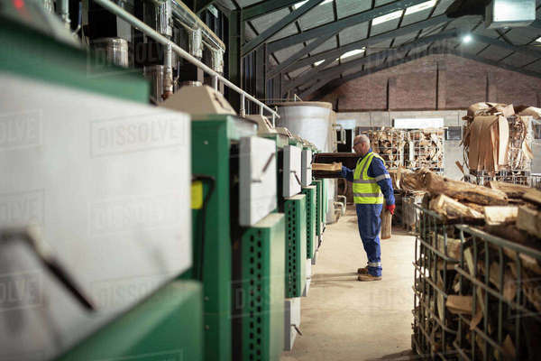 Worker filling furnaces with wood to dry timber in wood recycling plant ...
