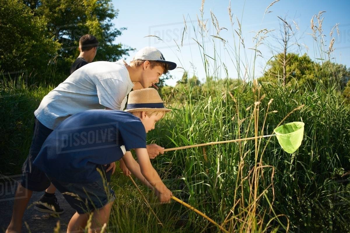 Boys using fishing nets - Royalty-free Stock Photo | Dissolve