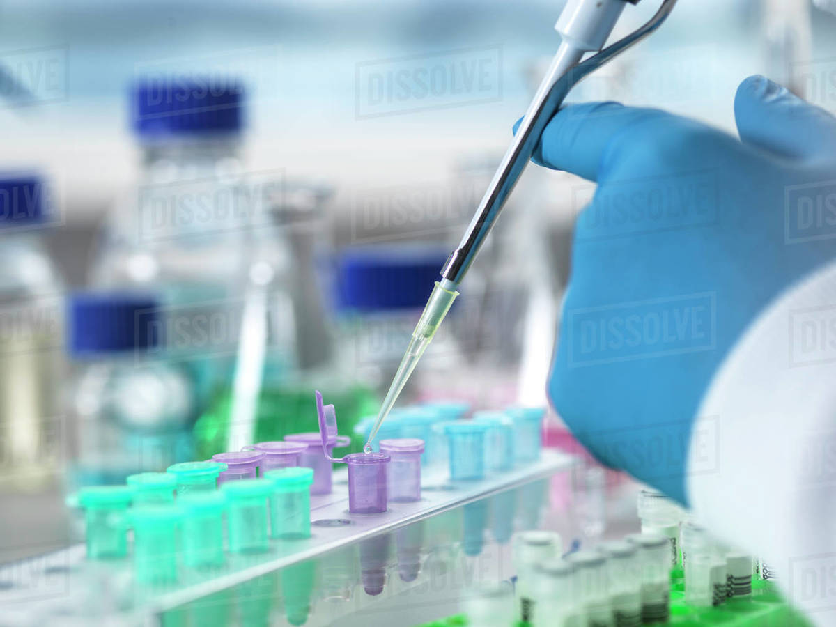 Scientist pipetting liquid into test tubes in a lab. - Royalty-free ...