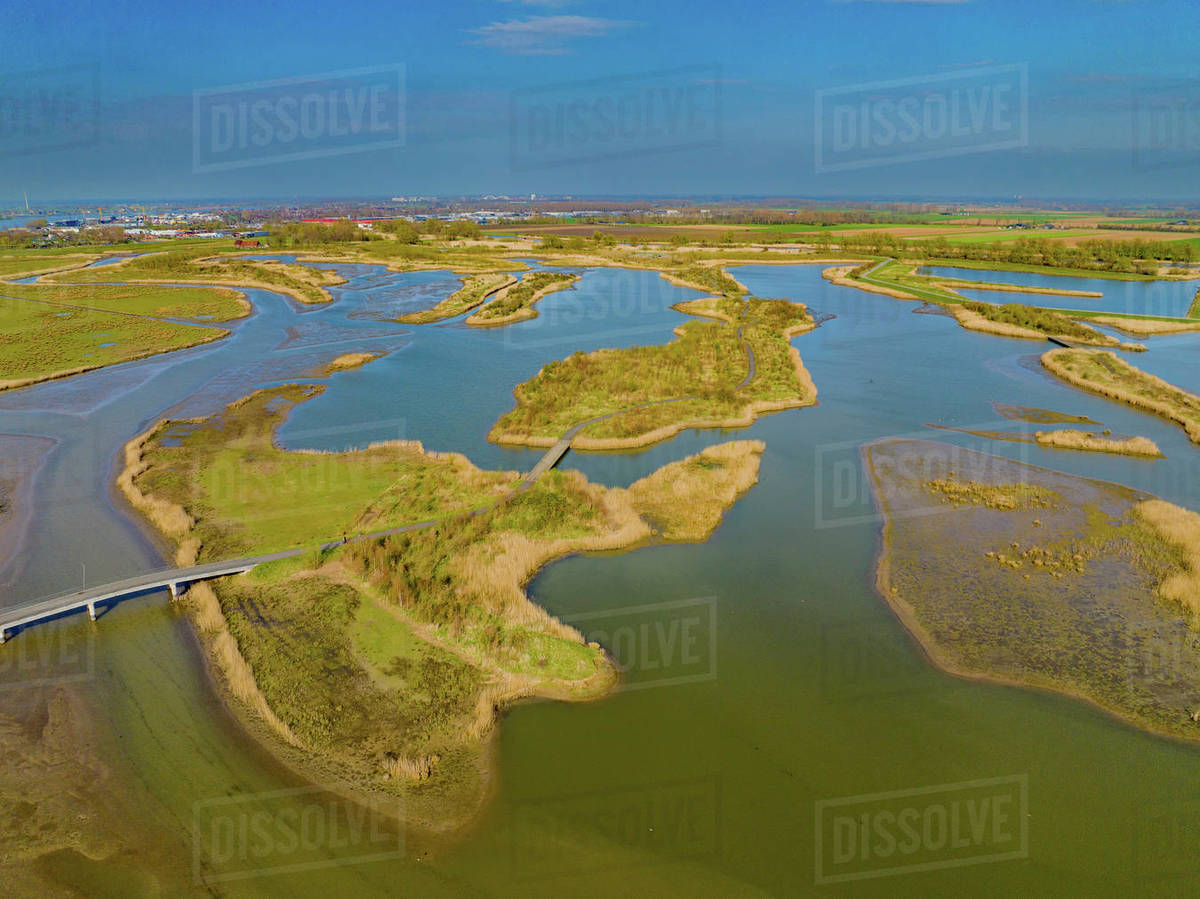 Aerial view of wetlands with winding water channels - Royalty-free ...