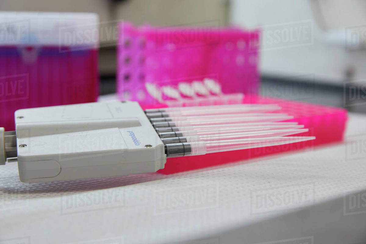 Multi-channel pipette in a laboratory setting. - Royalty-free Stock ...