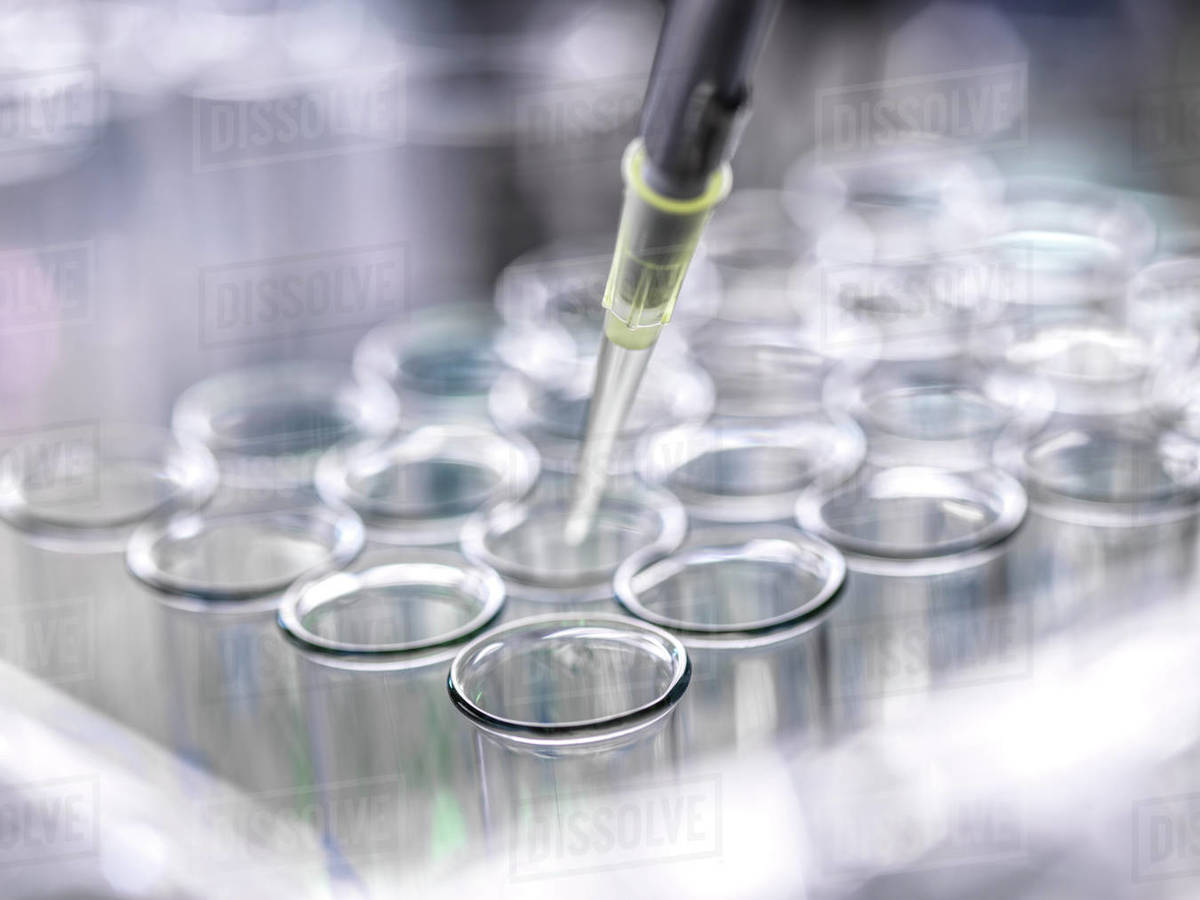 [various]Pharmaceutical Research, scientist pipetting sample into a ...