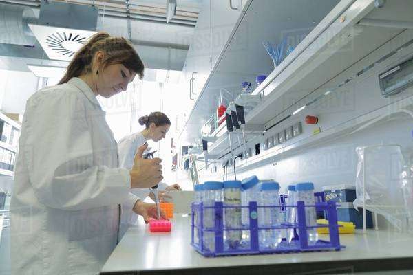 Biology lab technicians at work - Stock Photo - Dissolve