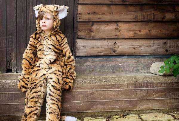 Boy wearing tiger costume outdoors - Stock Photo - Dissolve