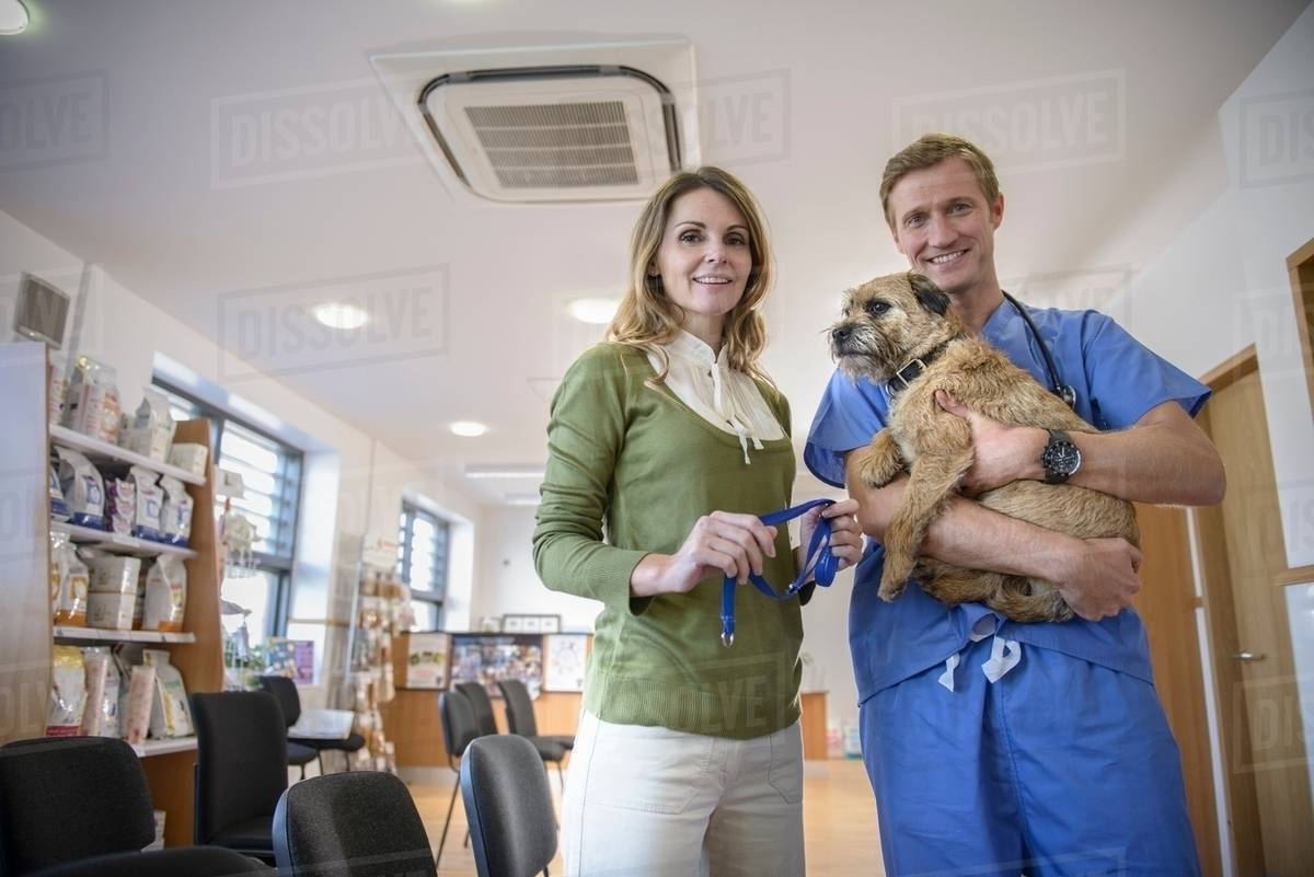 Portrait of vet holding dog with female owner in veterinary waiting ...