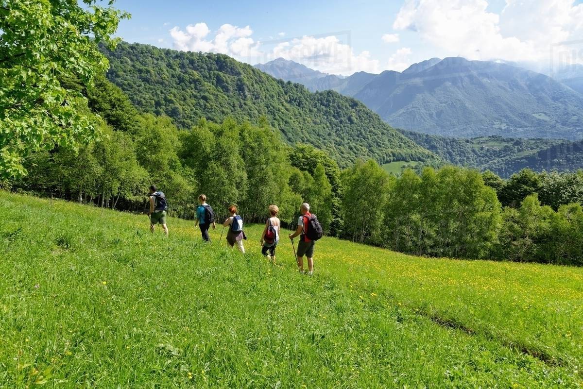 Five mature hikers hiking along hillside path, Grigna, Lecco, Lombardy ...