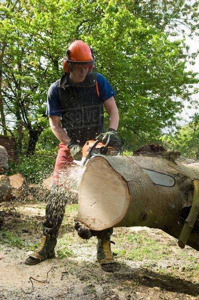 Young male tree surgeon using chainsaw on tree trunk - Royalty-free ...