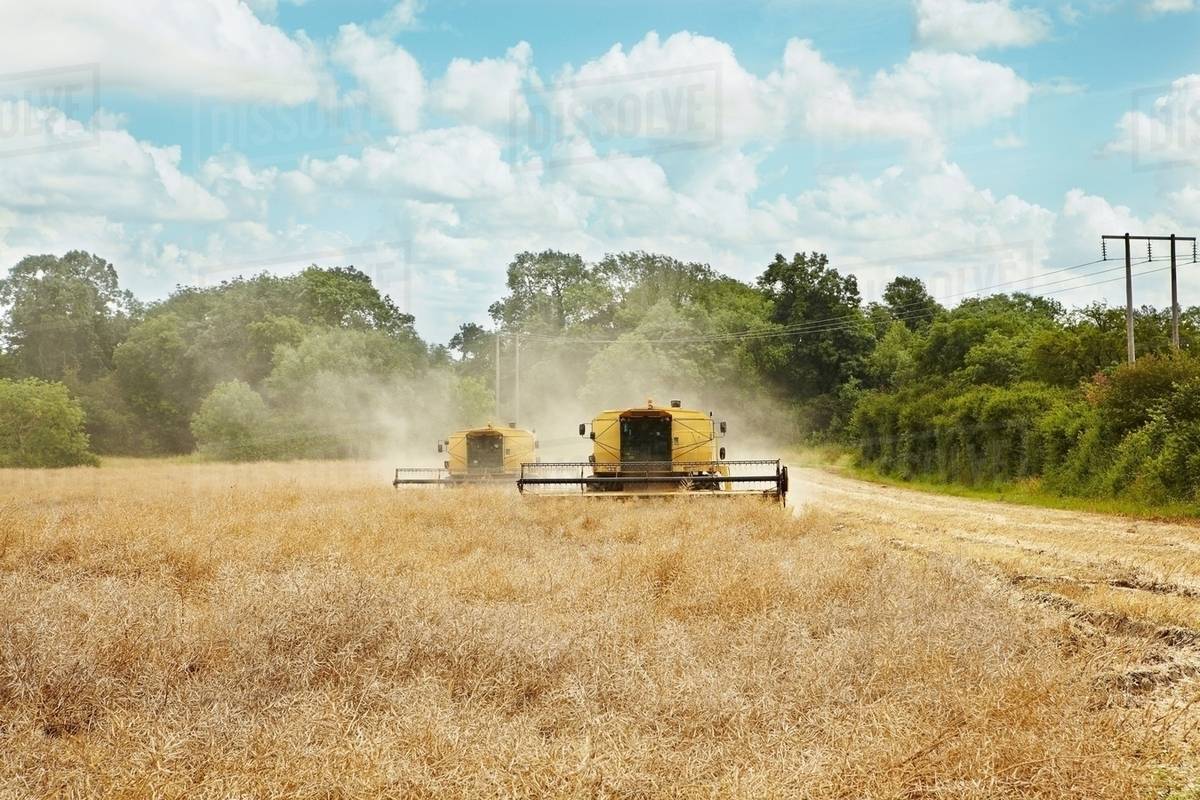 Threshers working in crop field - Royalty-free Stock Photo | Dissolve