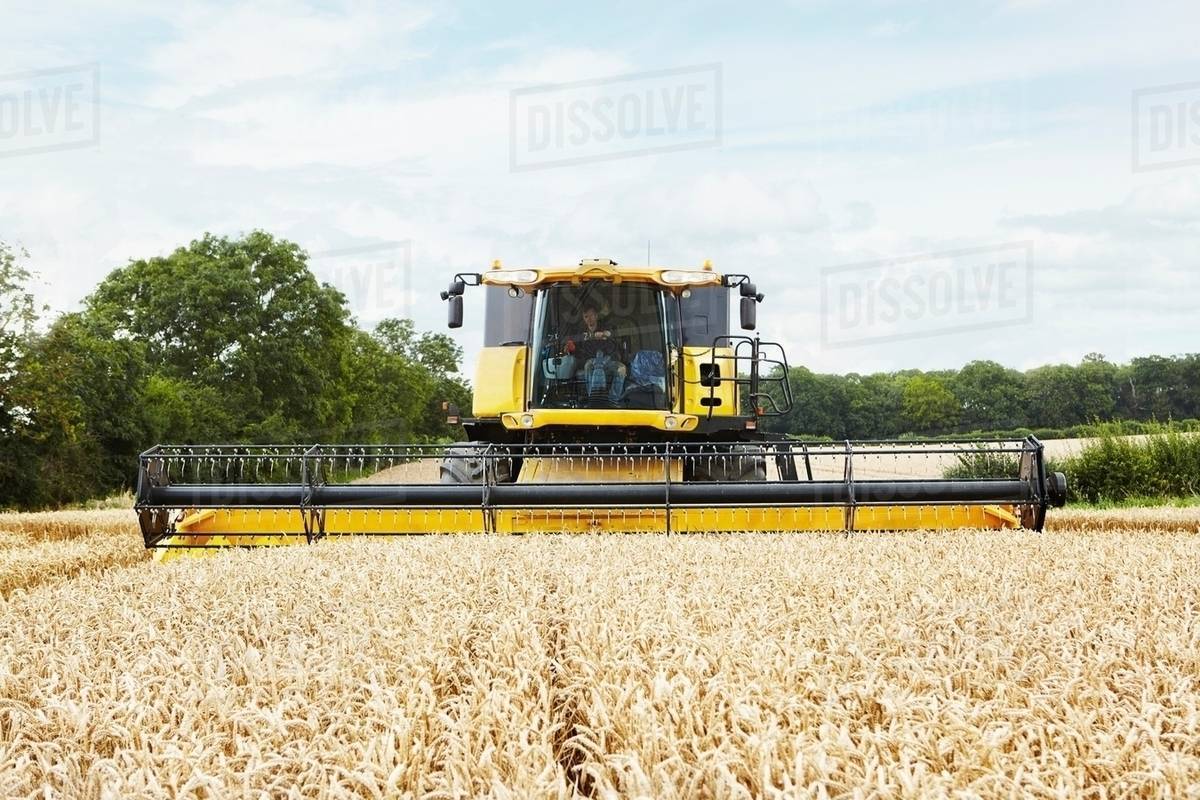 Harvesters working in crop field - Royalty-free Stock Photo | Dissolve