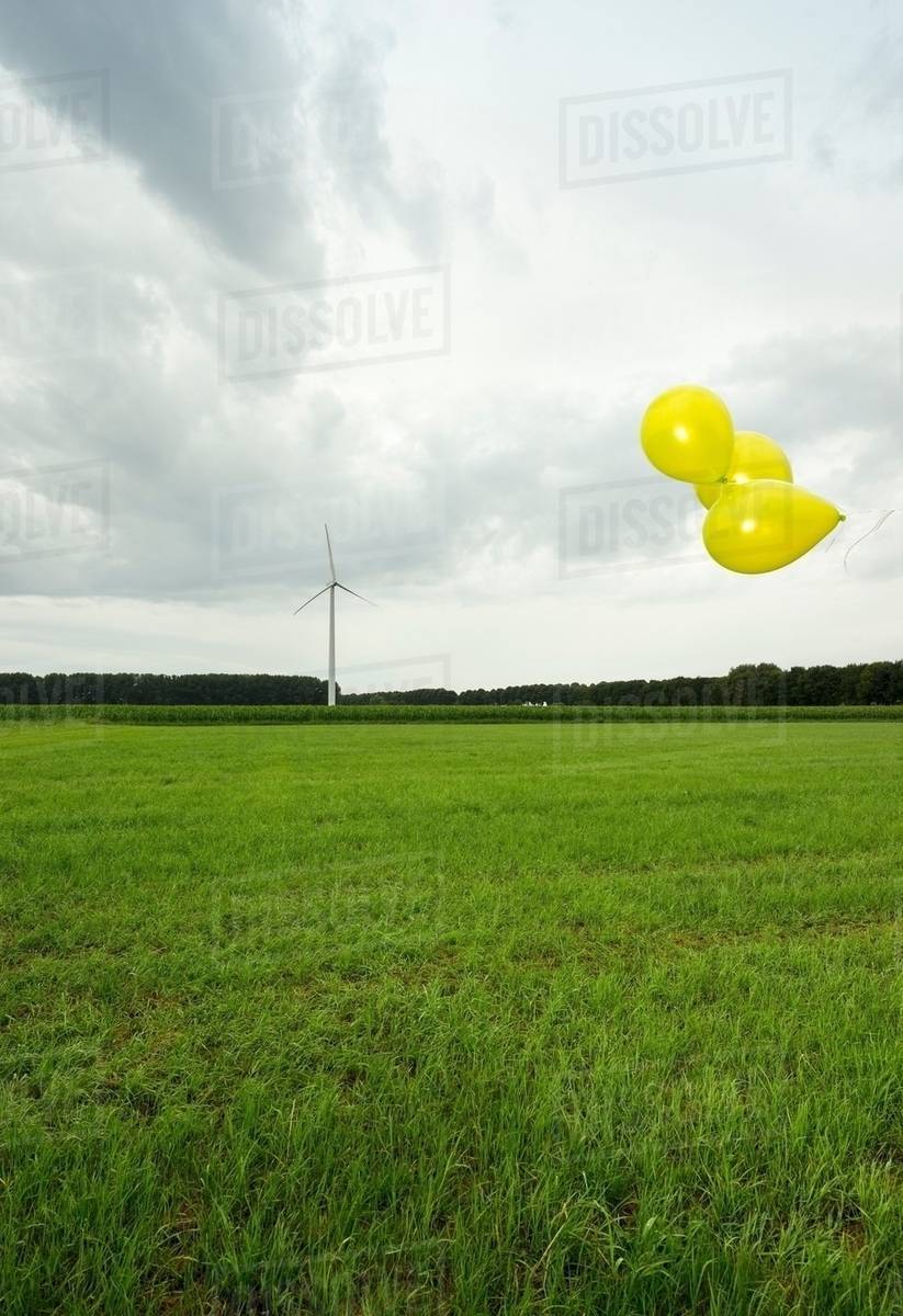 Balloons floating over green field - Stock Photo - Dissolve