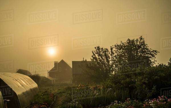 Farm buildings on overcast day - Stock Photo - Dissolve