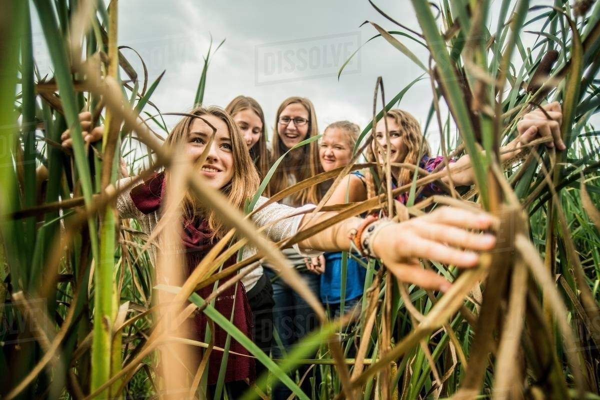 Five young women peering through reeds - Royalty-free Stock Photo ...