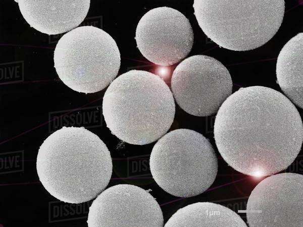 SEM image of SiO2 Silicon Dioxide empty balls, coated with gold and ...