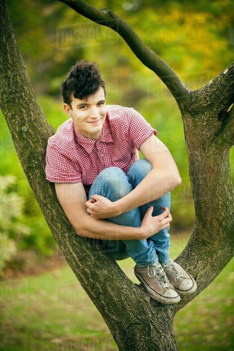 Teenage boy climbing tree in park - Royalty-free Stock Photo | Dissolve