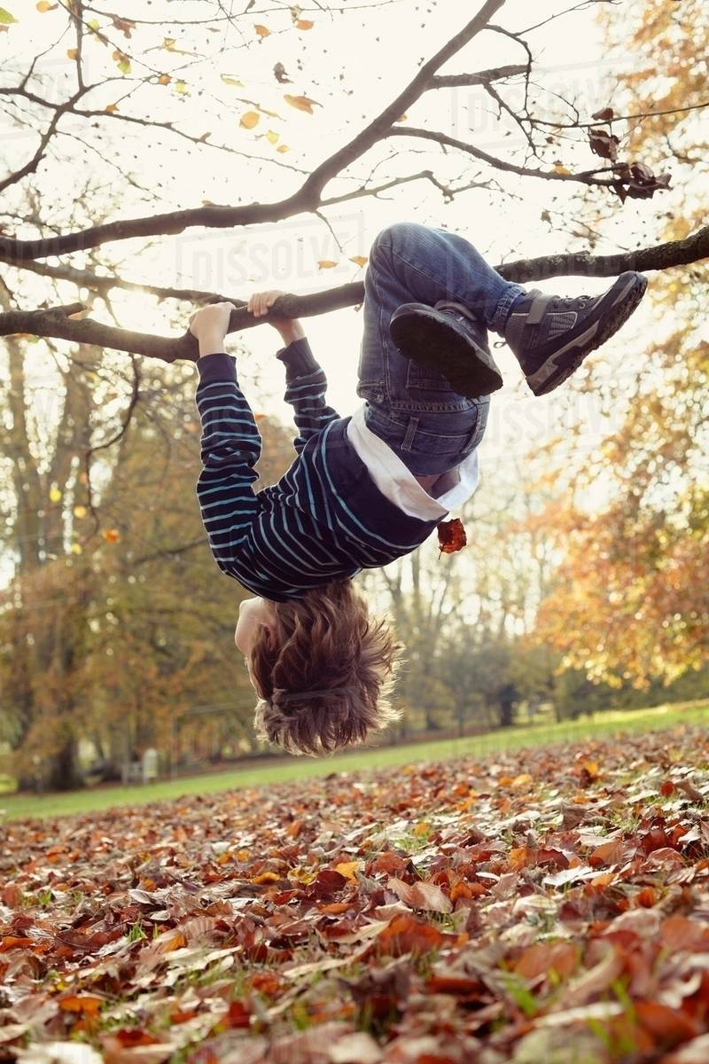 Boy playing on tree outdoors - Royalty-free Stock Photo | Dissolve