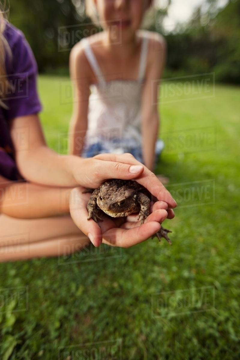 Girl holding frog in backyard - Royalty-free Stock Photo | Dissolve