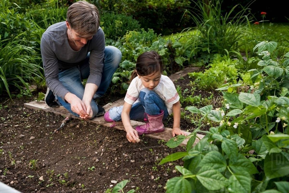 Father and daughter gardening together - Royalty-free Stock Photo ...