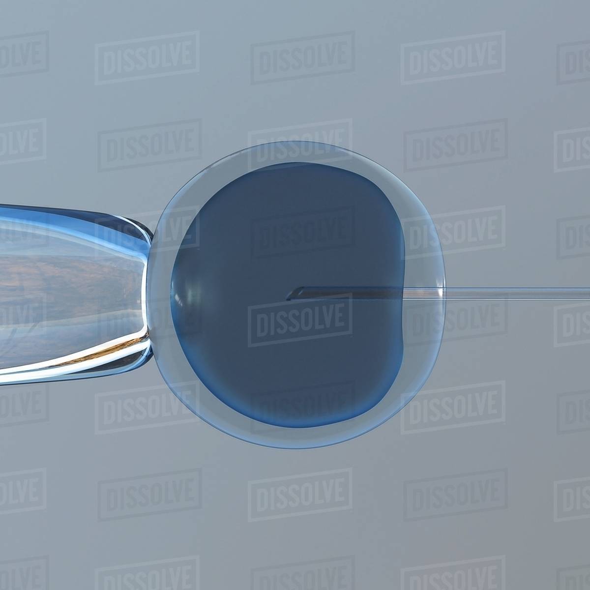 In vitro fertilization. 3D illustration of an in vitro cloning assay ...