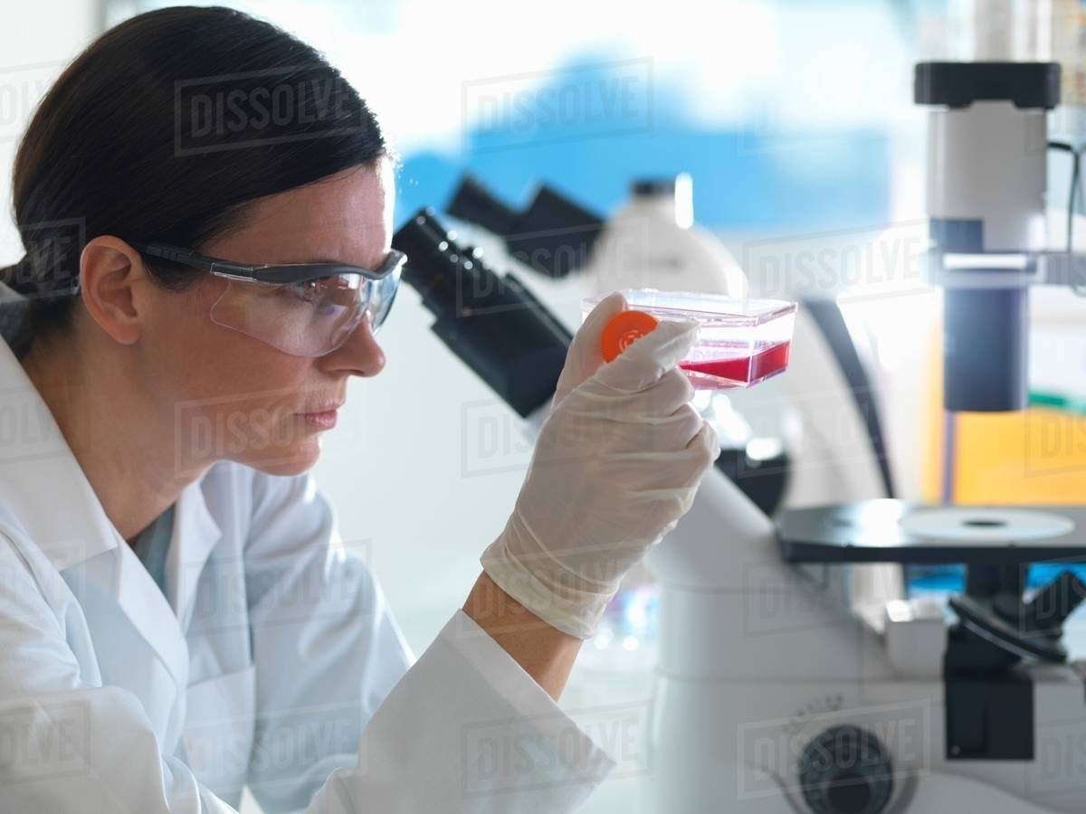 Female cell biologist holding flask containing stem cells, cultivated ...