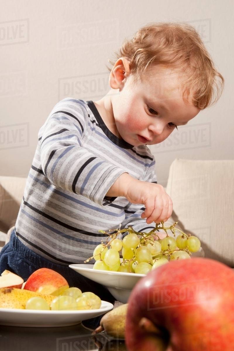 Little boy eating fruit - Stock Photo - Dissolve