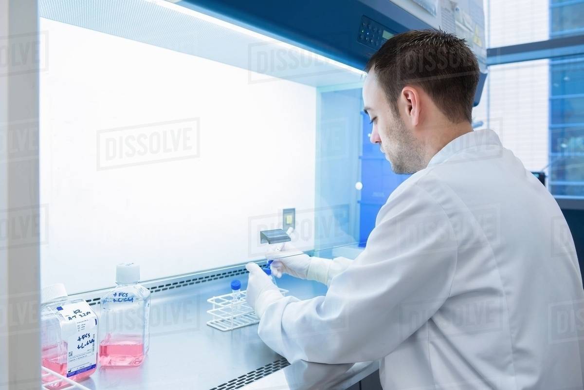 Cancer research laboratory, Scientist preparing cells for centrifuge ...