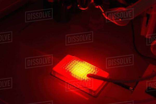 Cancer research laboratory, Photodynamic therapy, photochemotherapy ...