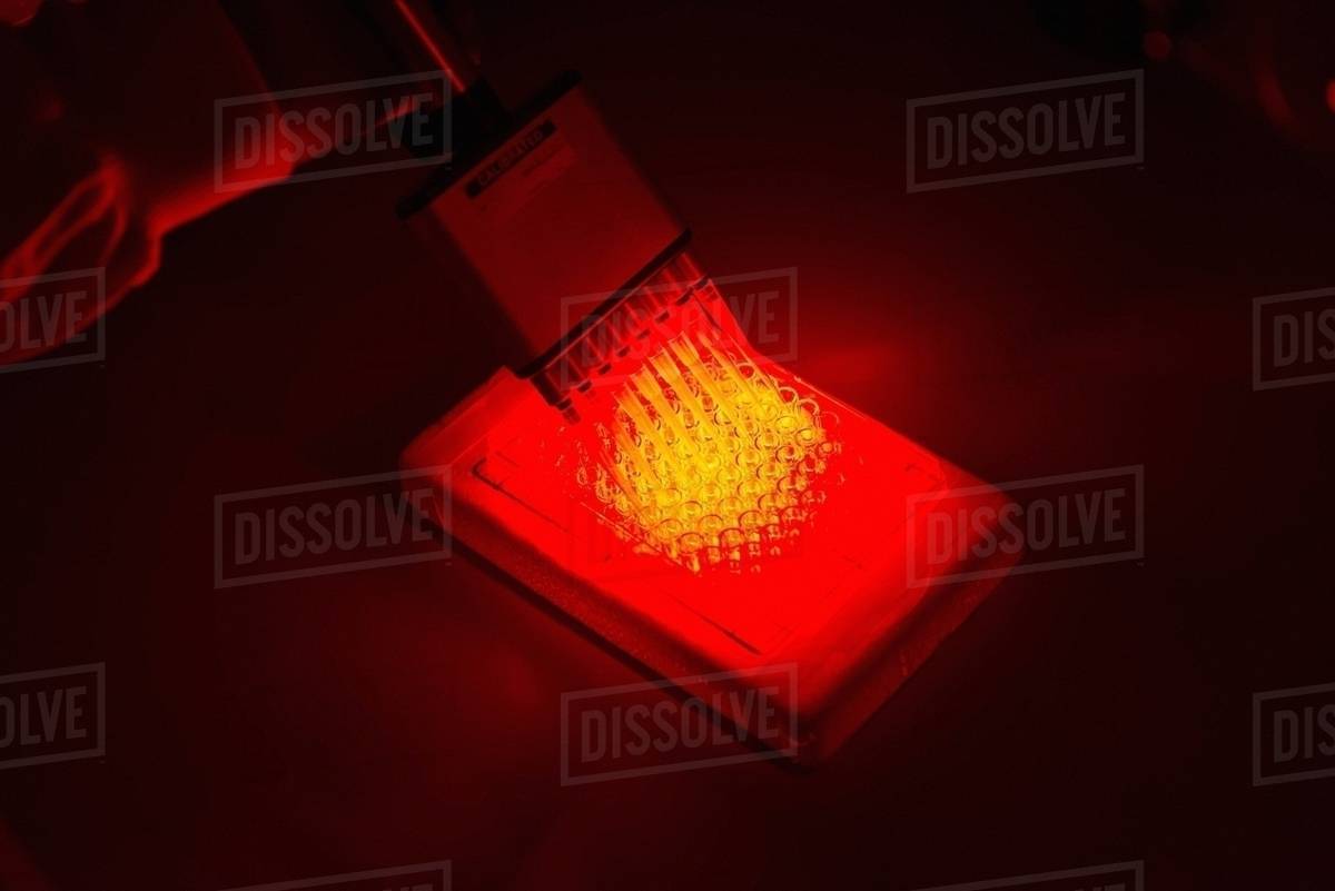 Cancer research laboratory, Photodynamic therapy, photochemotherapy ...